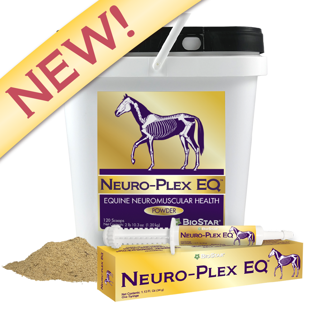 Neuro-Plex EQ – BioStarUS
