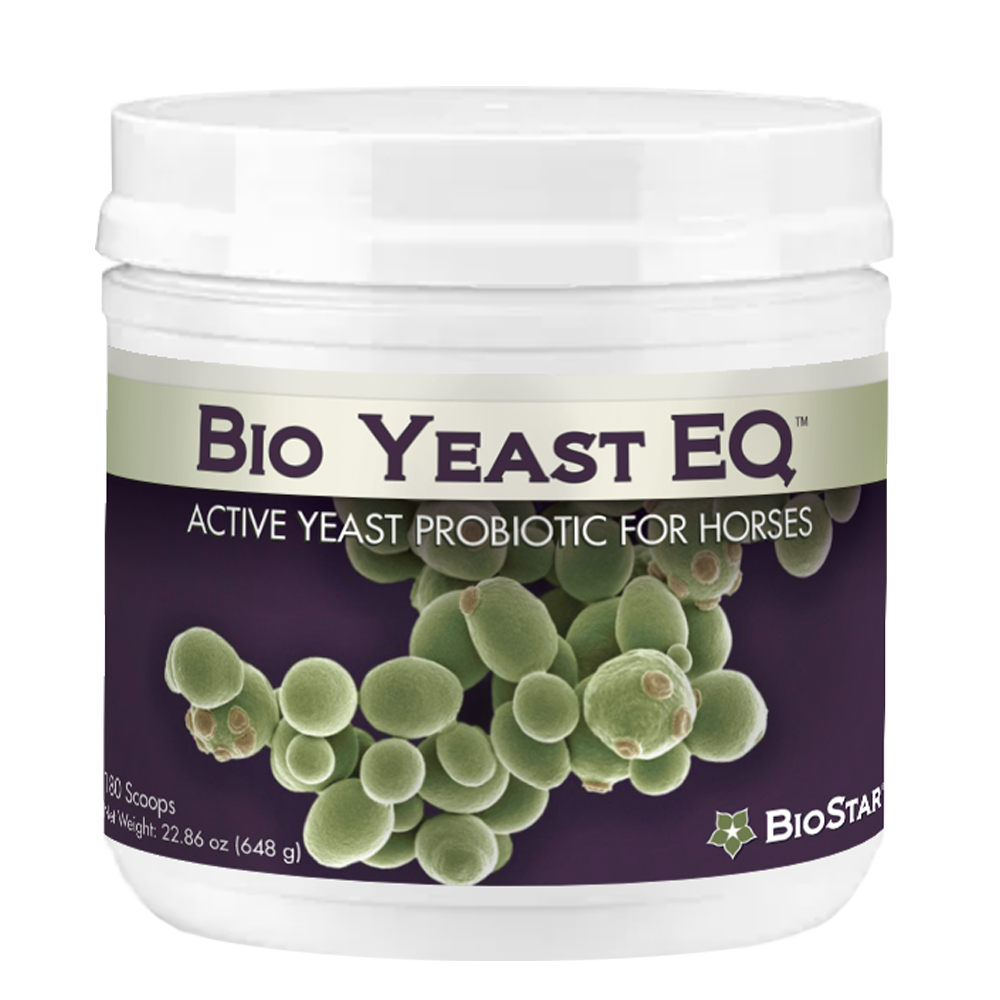 BioStar US | BioYeast EQ: Live Yeast Equine Probiotic – BioStarUS