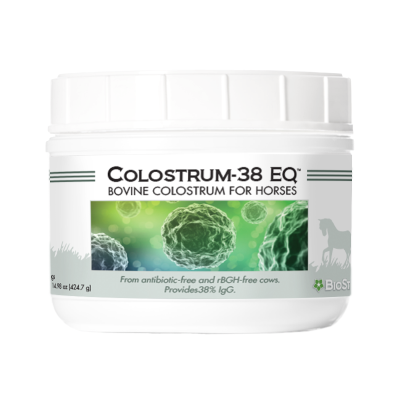 Bovine Colostrum 38% IgG | Immune Boost for Horses | BioStarUS