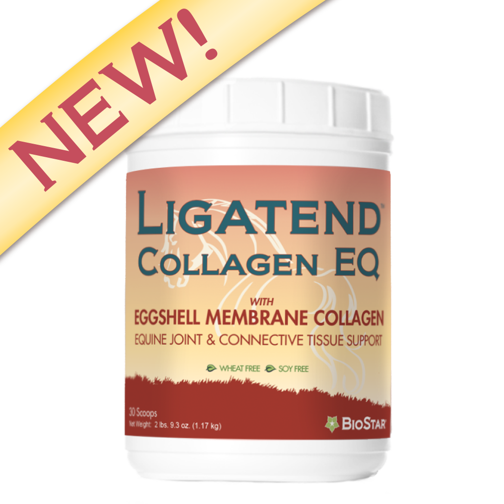BioStar US | Ligatend Collagen EQ: Connective Tissue Support – BioStarUS