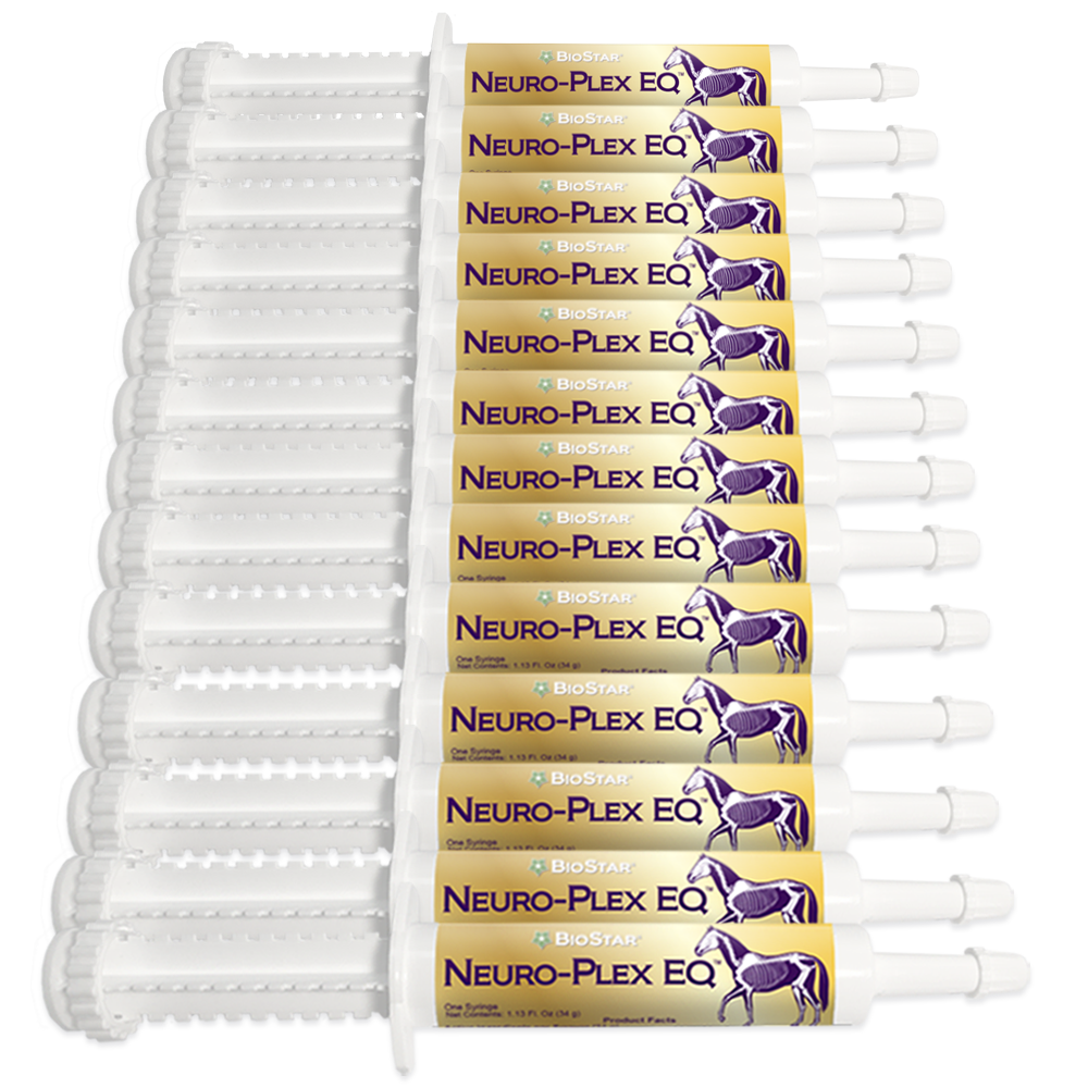 Neuro-Plex EQ – BioStarUS