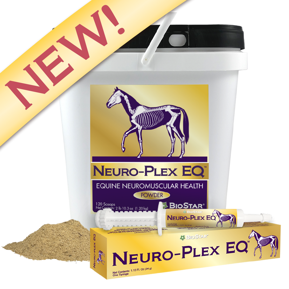 BioStar US | Whole Food Supplements for Horses and Dogs – BioStarUS