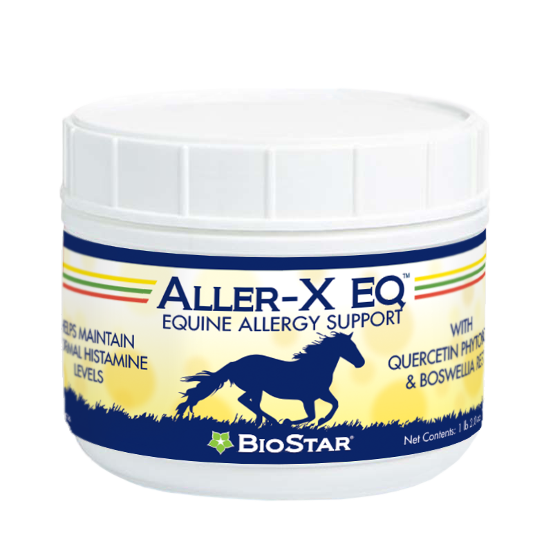 Equine Allergy & Skin Support | Aller-X EQ | BioStarUS