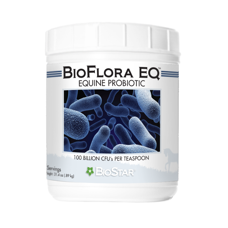 BioFlora EQ | Equine Probiotic Supplement for GI Health | BioStarUS