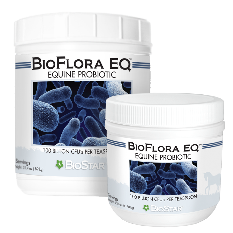 BioStar US | BioFlora EQ: Probiotic for Horses – BioStarUS