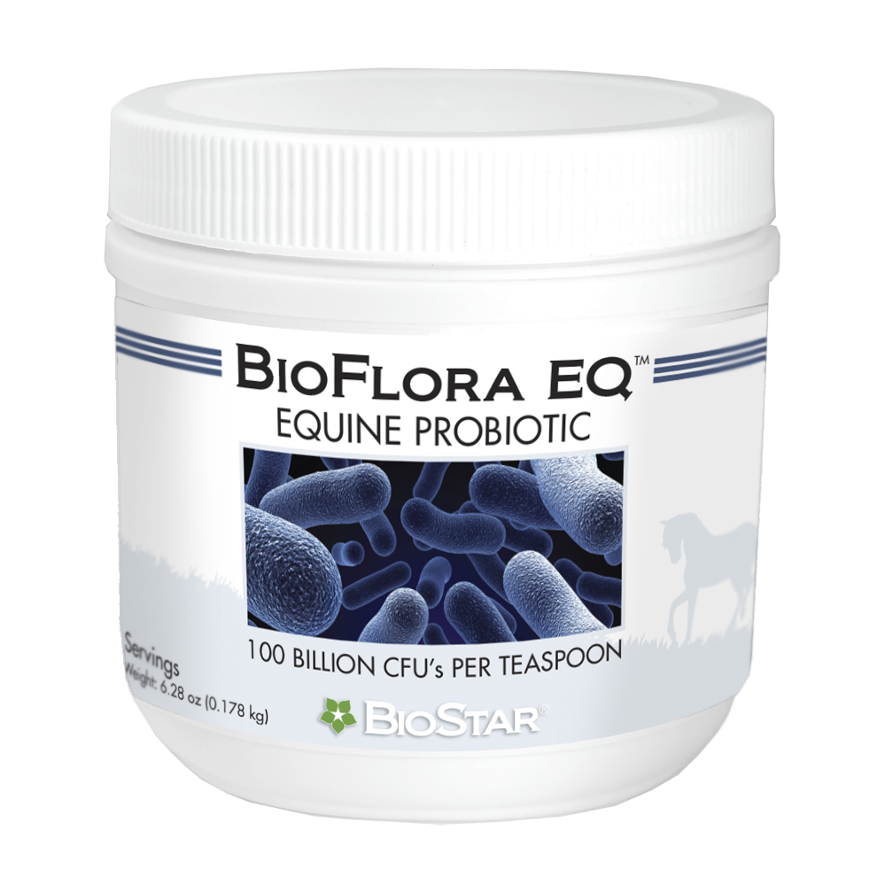 BioStar US | BioFlora EQ: Probiotic for Horses – BioStarUS