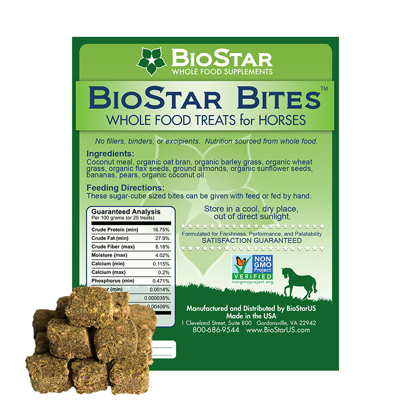 Healthy Equine Treats | Barley & Wheat Grass Bites | BioStarUS