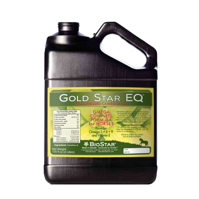 BioStar US | Gold Star EQ: Camelina Oil for Horses – BioStarUS